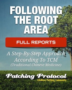 PROTOCOLS AREA REGISTRATION PAGE - Patching Protocol