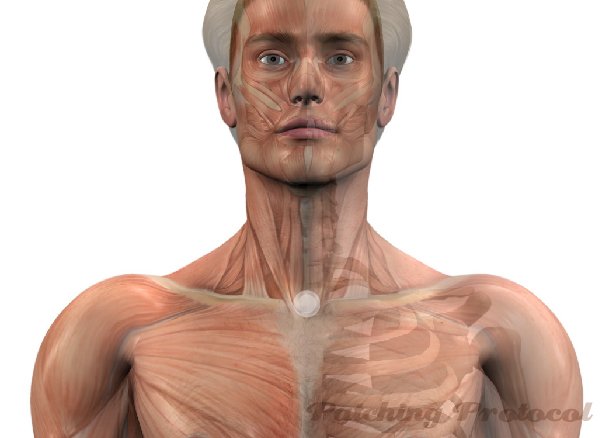 Chapter 5 - Patching Protocol