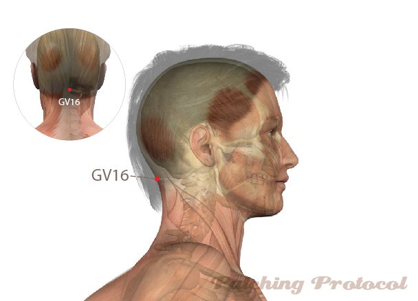 Acupoint location for GV16 – Patching Protocol