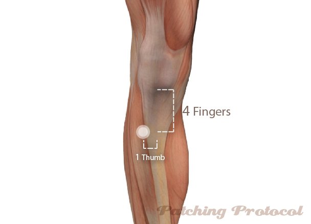 Acupoint location for ST36 R SIDE – LifeWave Patching Protocol