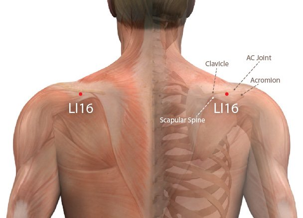 Large Intestine 16 Archives – Lifewave Patches Protocols