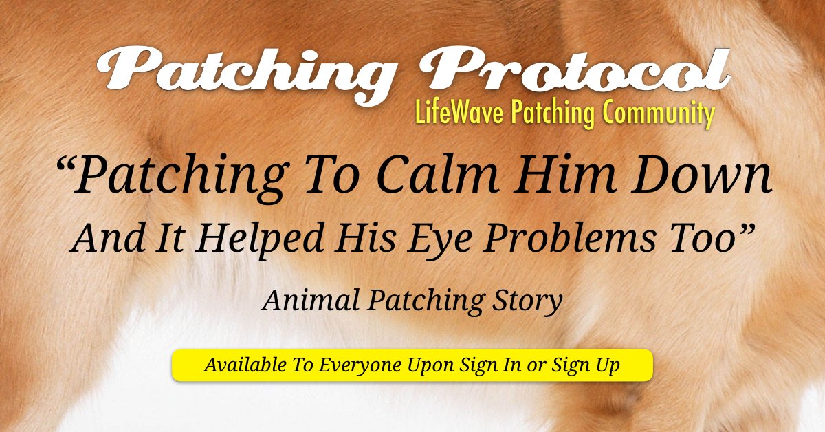Animal Patching Area – Patching Protocol