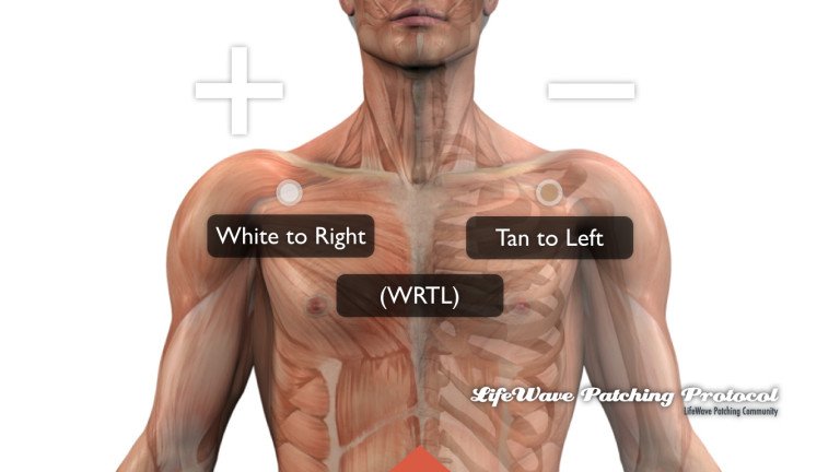 LifeWave Patches - Patching Protocol