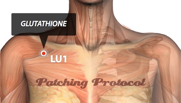 LifeWave Patches And Water Retention – Lifewave Patches Protocols