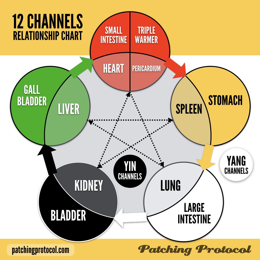 12 CHANNELS RELATIONSHIP CHART - Lifewave Patching Protocol – Patching ...