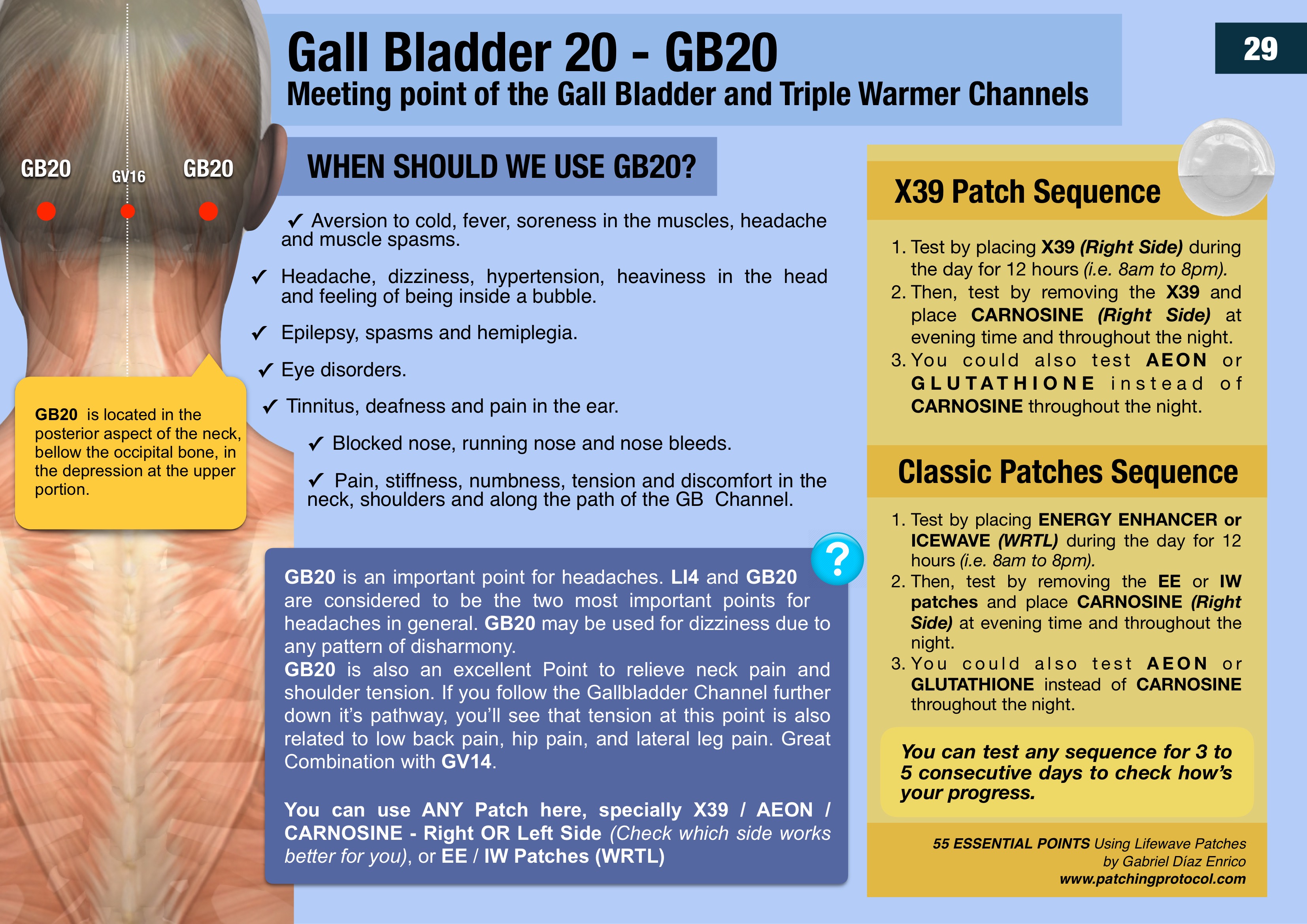 55 ESSENTIAL POINTS Using Lifewave Patches – Including X39 and Classic ...