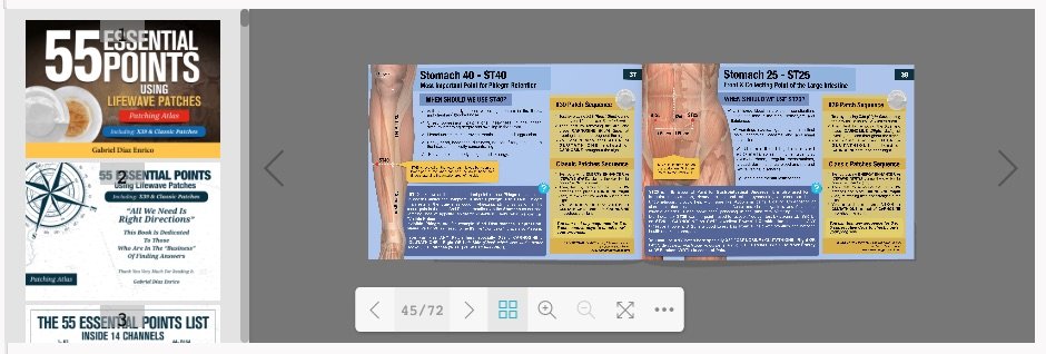 First Patching Atlas: 55 ESSENTIAL POINTS Using Lifewave Patches ...